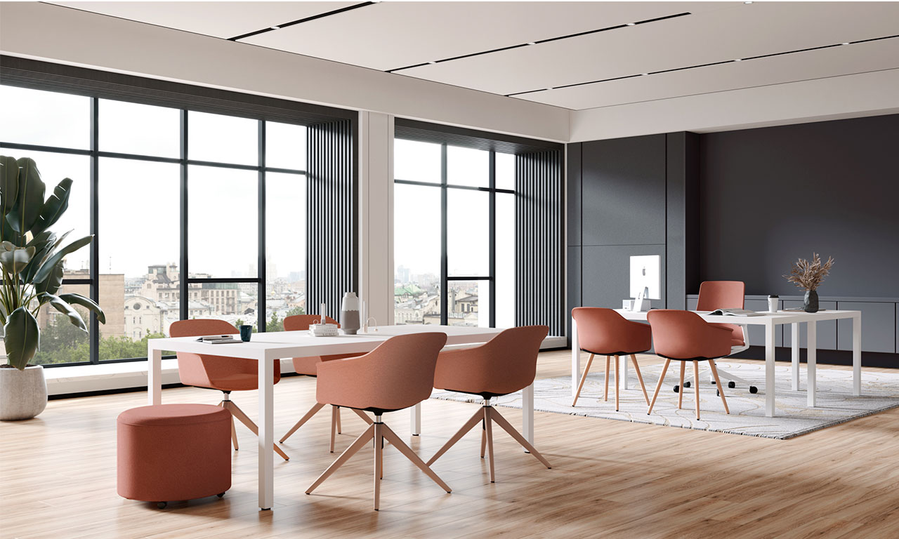 Noom 60: the collective chair that stands out for its sturdy and cozy ...