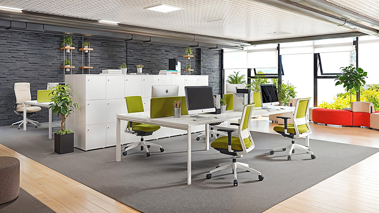 Stay office Chairs