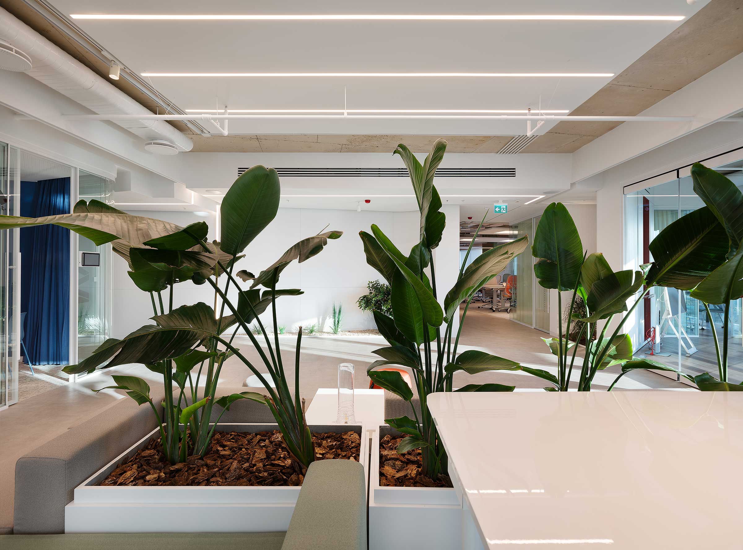 The power of light in UVA Lighting's offices | ACTIU